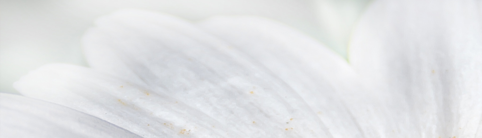 Debra Burroughs | NYT & USA Today Bestselling Author